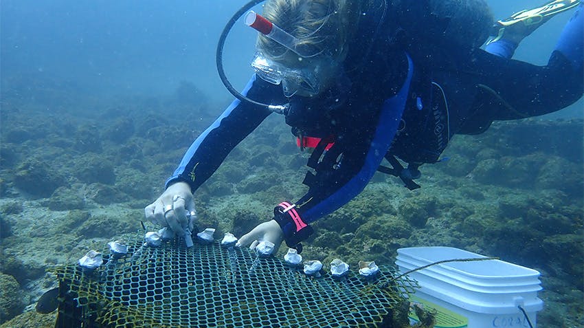 The best alternative to study abroad programs for college students | Intern Abroad HQ